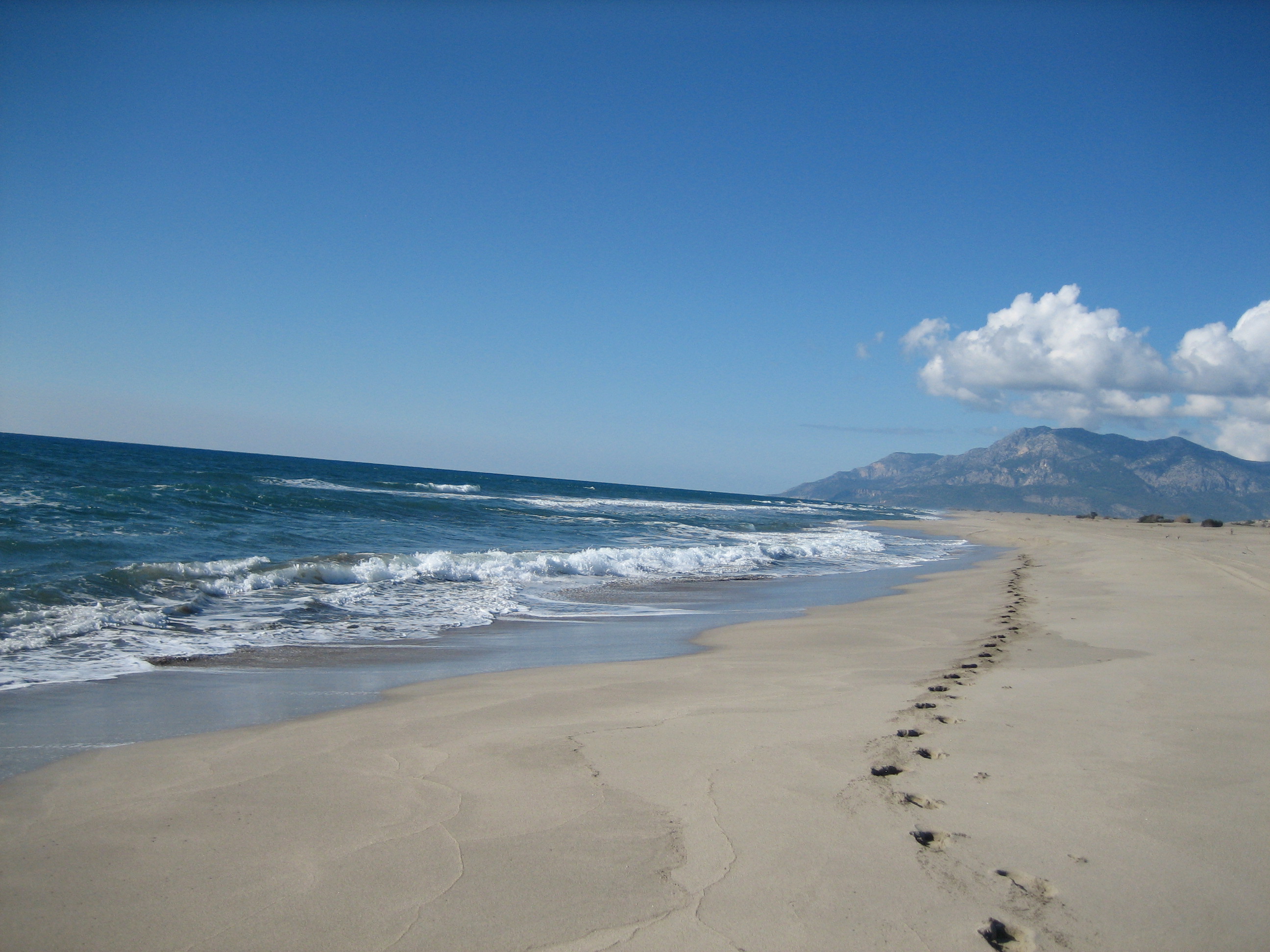 Jumping Jiminy – aviewfrommykitchen.com